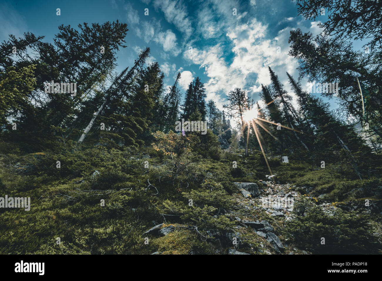 Big hill banff national park hi-res stock photography and images - Alamy