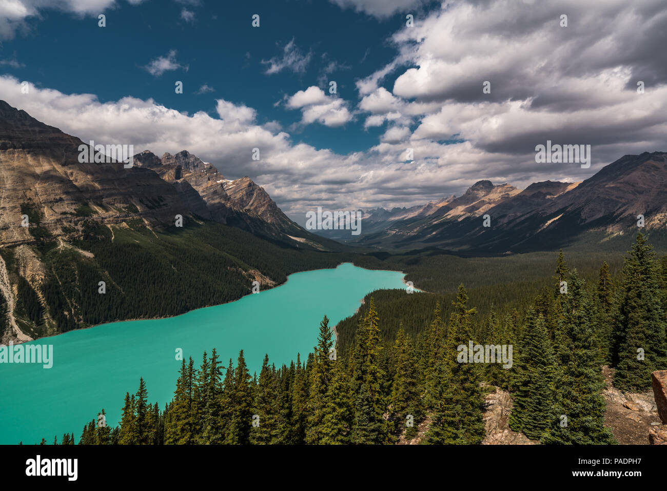 View over Peyto Lake, Banff National Park Canada Stock Photo - Alamy