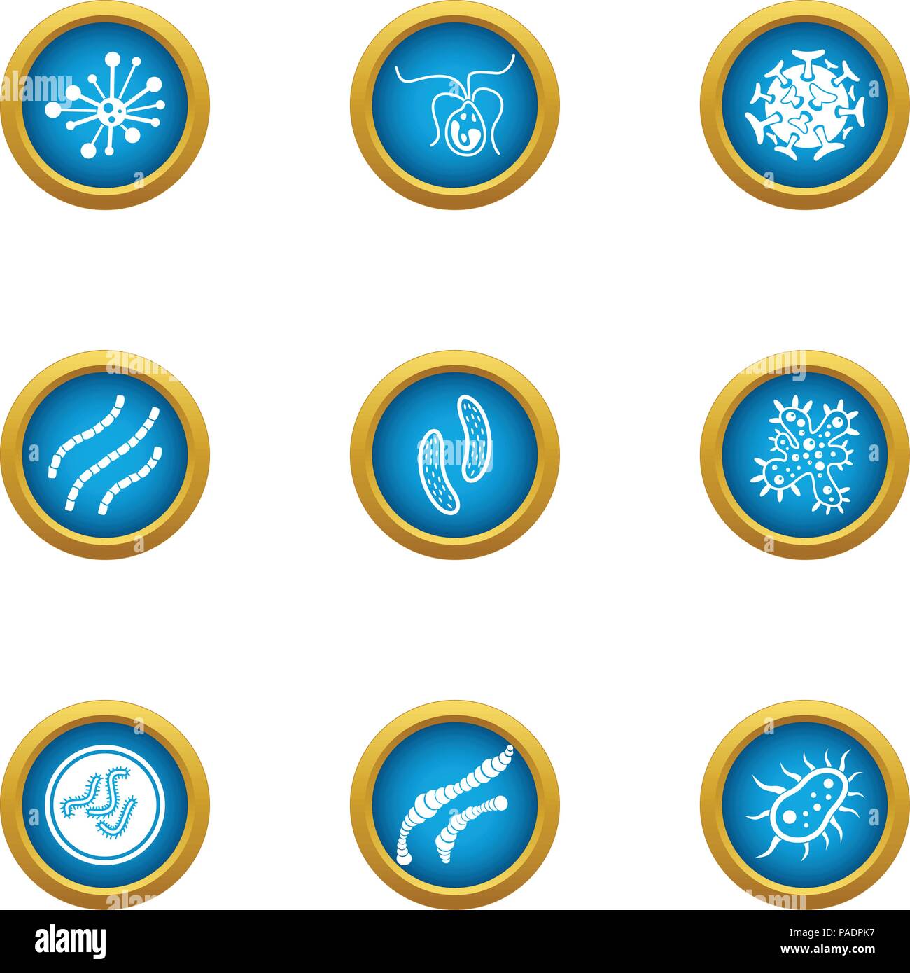 Bacterial classification hi-res stock photography and images - Alamy