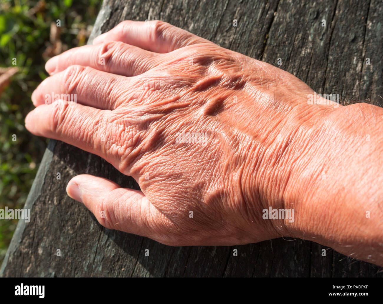 Old mans hand hi-res stock photography and images - Alamy