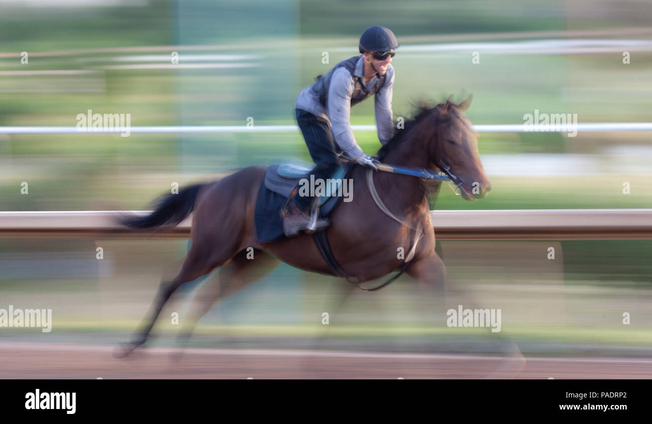 Thoroughbred race horses and jockey make their way around the 1 - mile ...