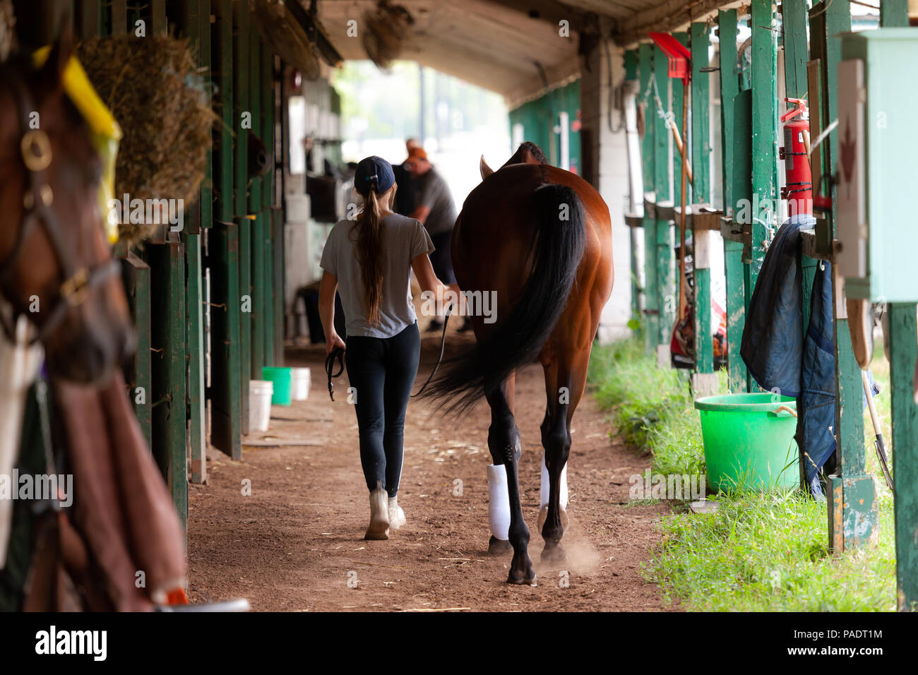 Horses stalls racing hi-res stock photography and images - Alamy