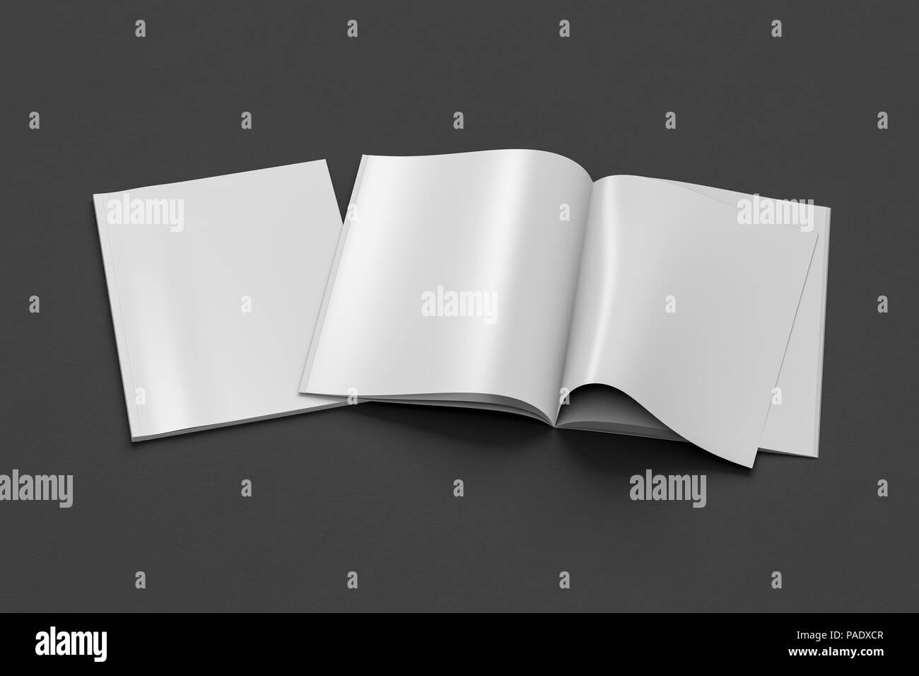 Glossy Paper Magazine