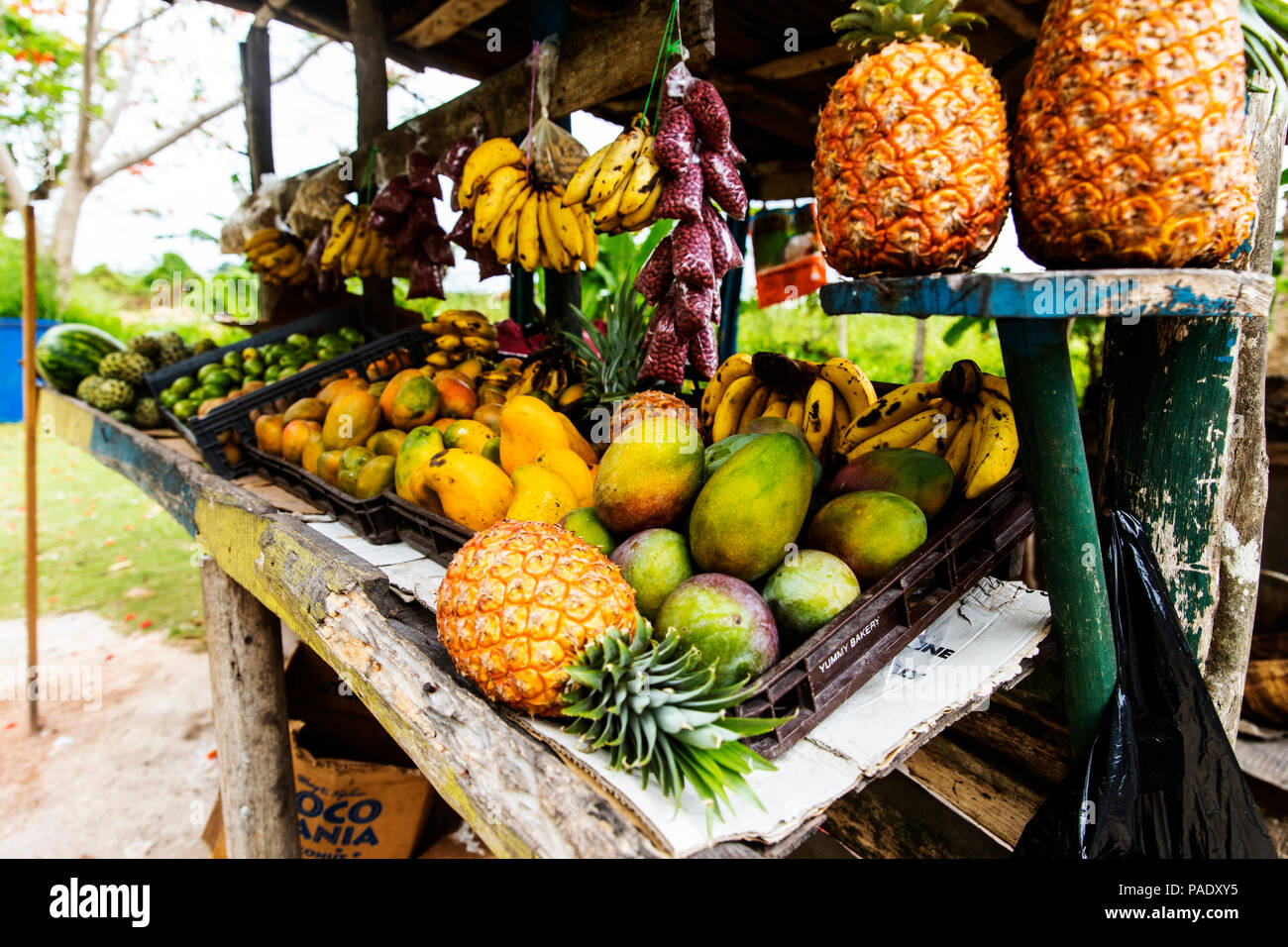 Basket Of Jamaican Fruits at Steve Courtney blog