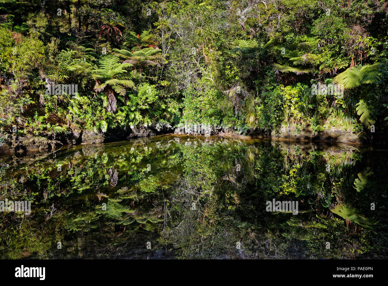 Bush campground hi-res stock photography and images - Alamy