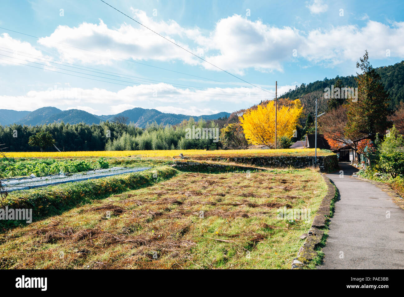 Ohara countryside village nature view in Kyoto, Japan Stock Photo - Alamy