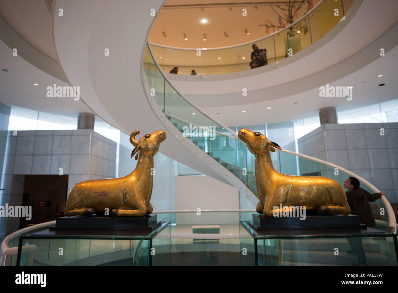 France, Nice, Museum of Asian Arts - Musee des Arts Asiatiques interior ...