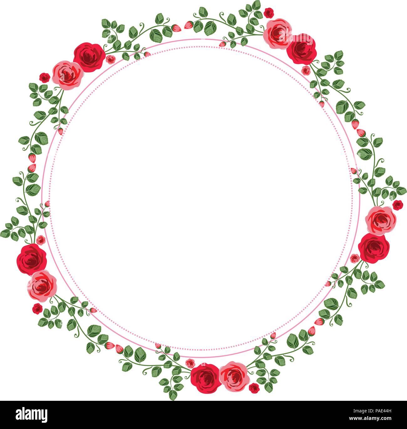 Rose flower frame hi-res stock photography and images - Alamy