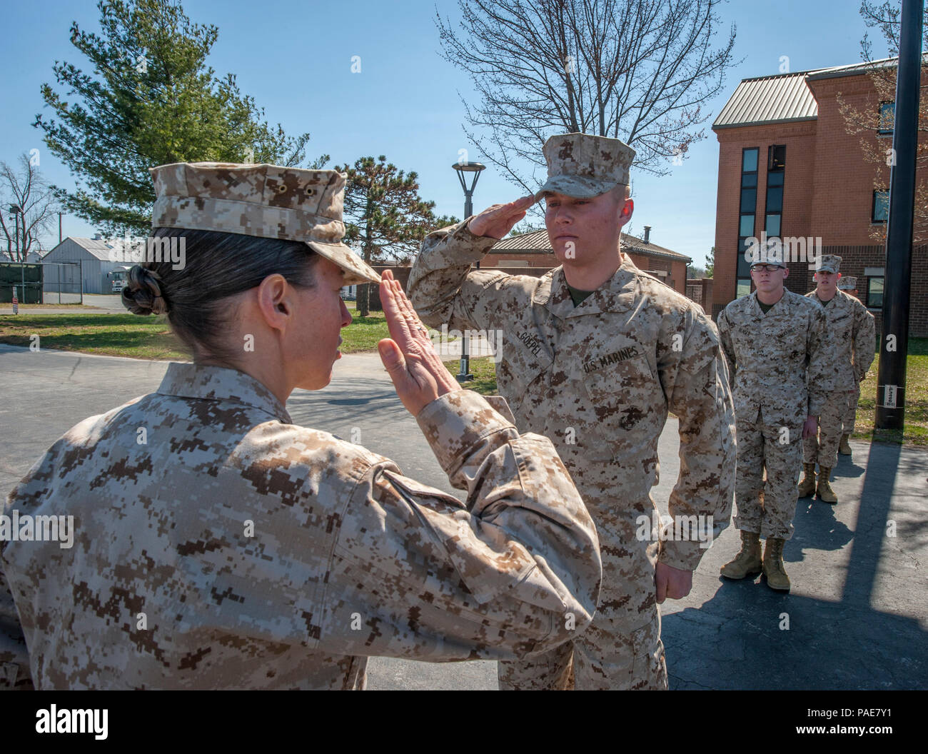 Goepel hi-res stock photography and images - Alamy