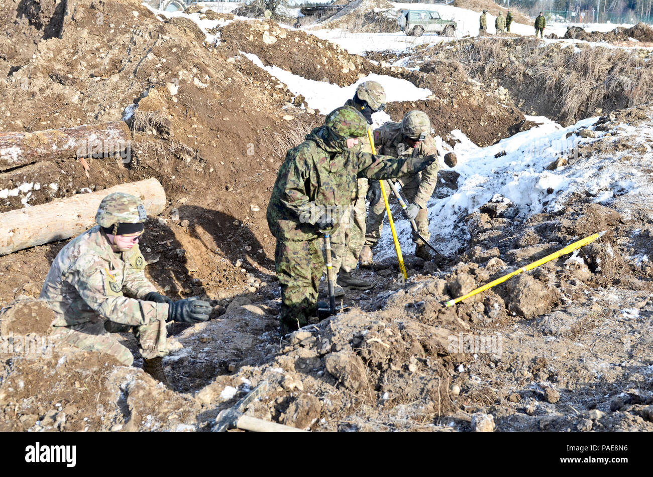 Estonian Army pioneers of 1st Battalion, 2nd Brigade and U.S. Army Iron ...