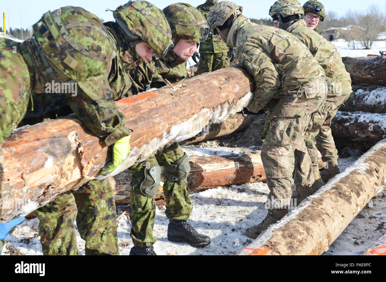 Estonian Army pioneers of 1st Battalion, 2nd Brigade and U.S. Iron ...