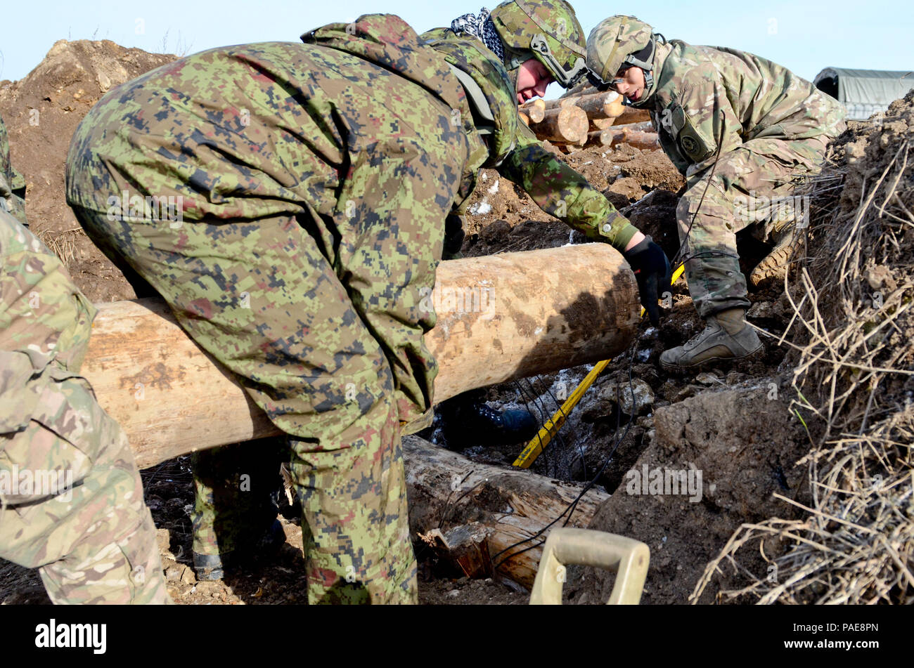 Estonian Army pioneers of 1st Battalion, 2nd Brigade and U.S. Iron ...