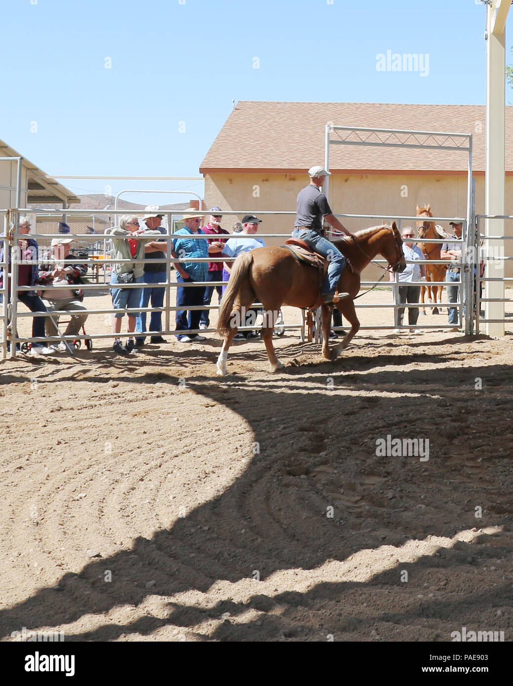 Sgt. Terry Barker, stableman, demonstrates some of the training that ...