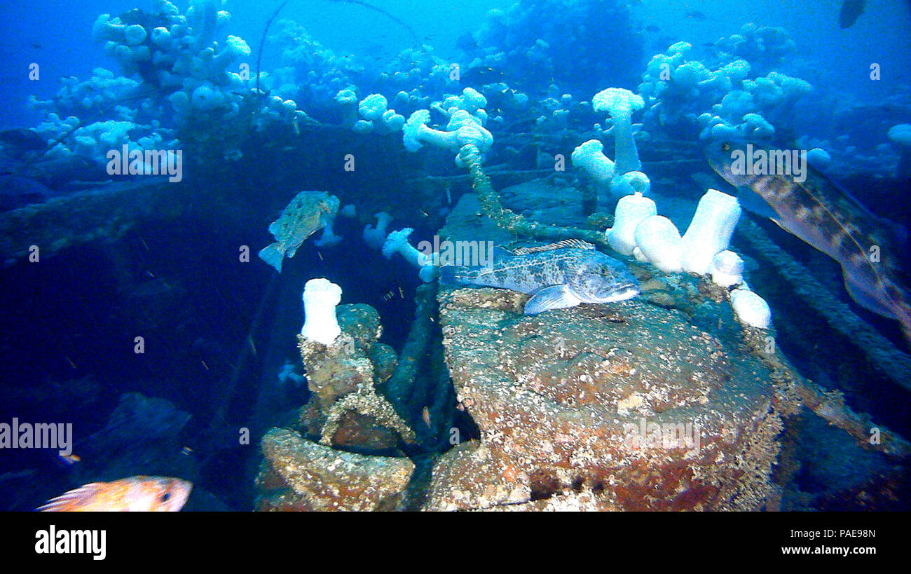 151001-N-ZZ999-305 PACIFIC OCEAN (March 1, 2016) The 1,000 horse power ...