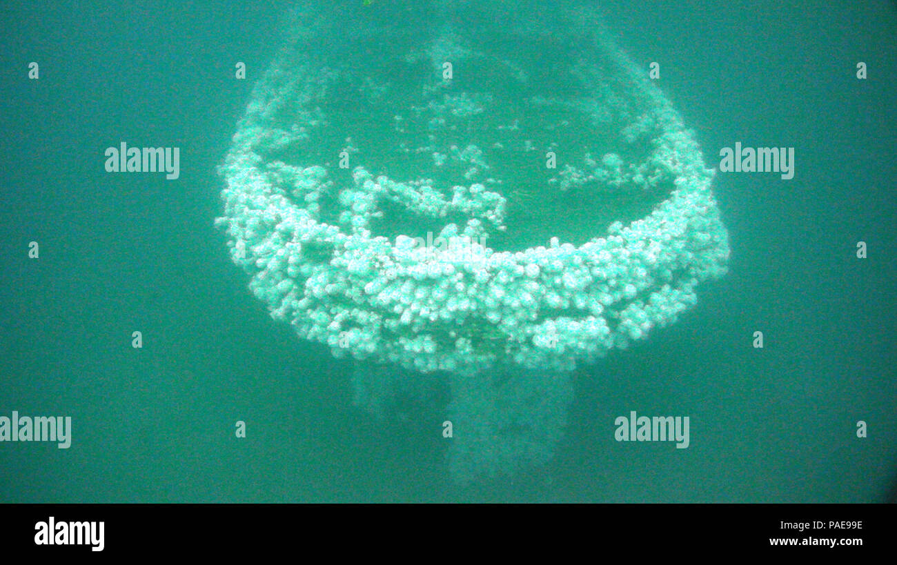 151001-N-ZZ999-304 PACIFIC OCEAN (March 1, 2016) A stern view of the ...