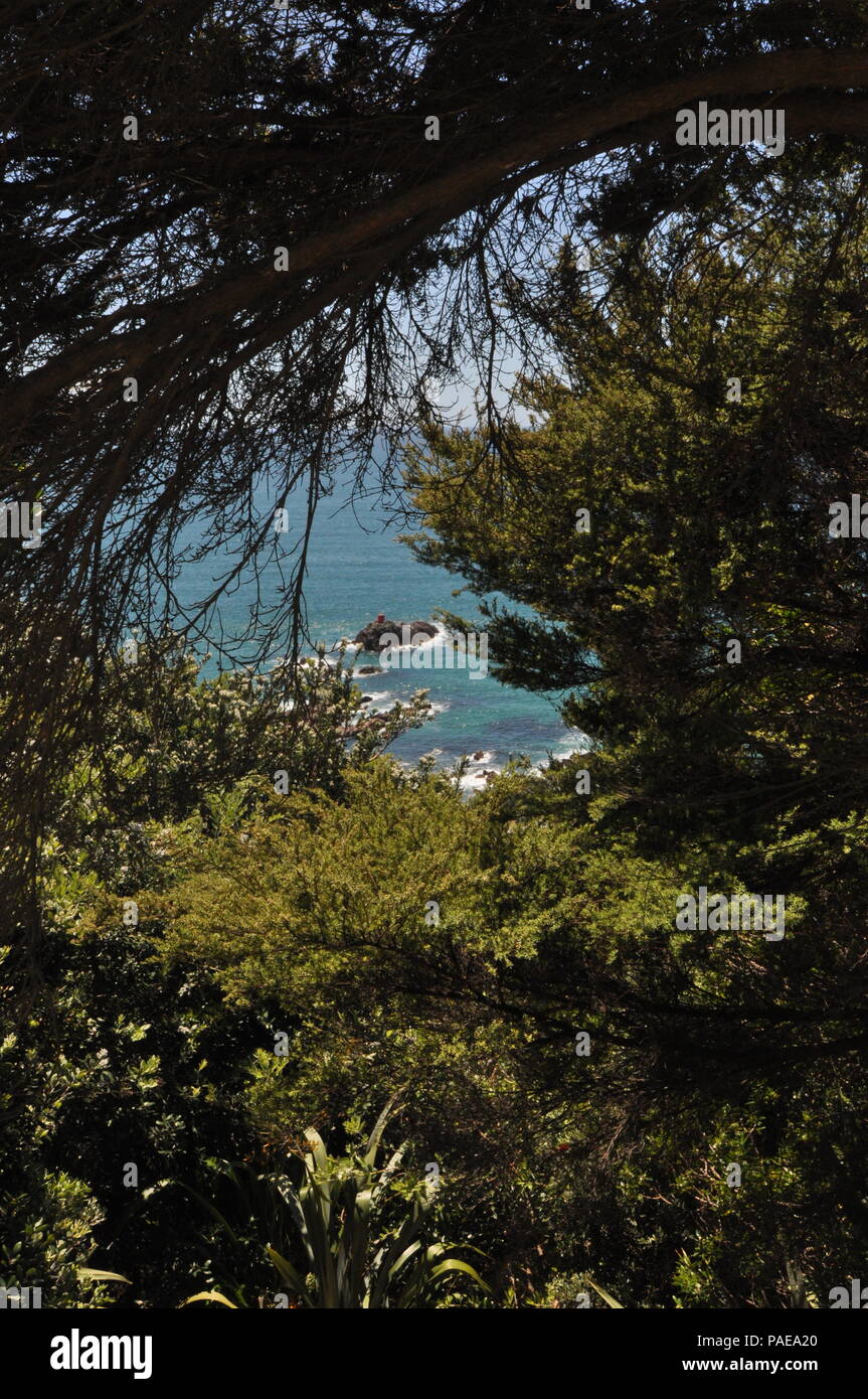 Tauranga, New Zealand Stock Photo - Alamy