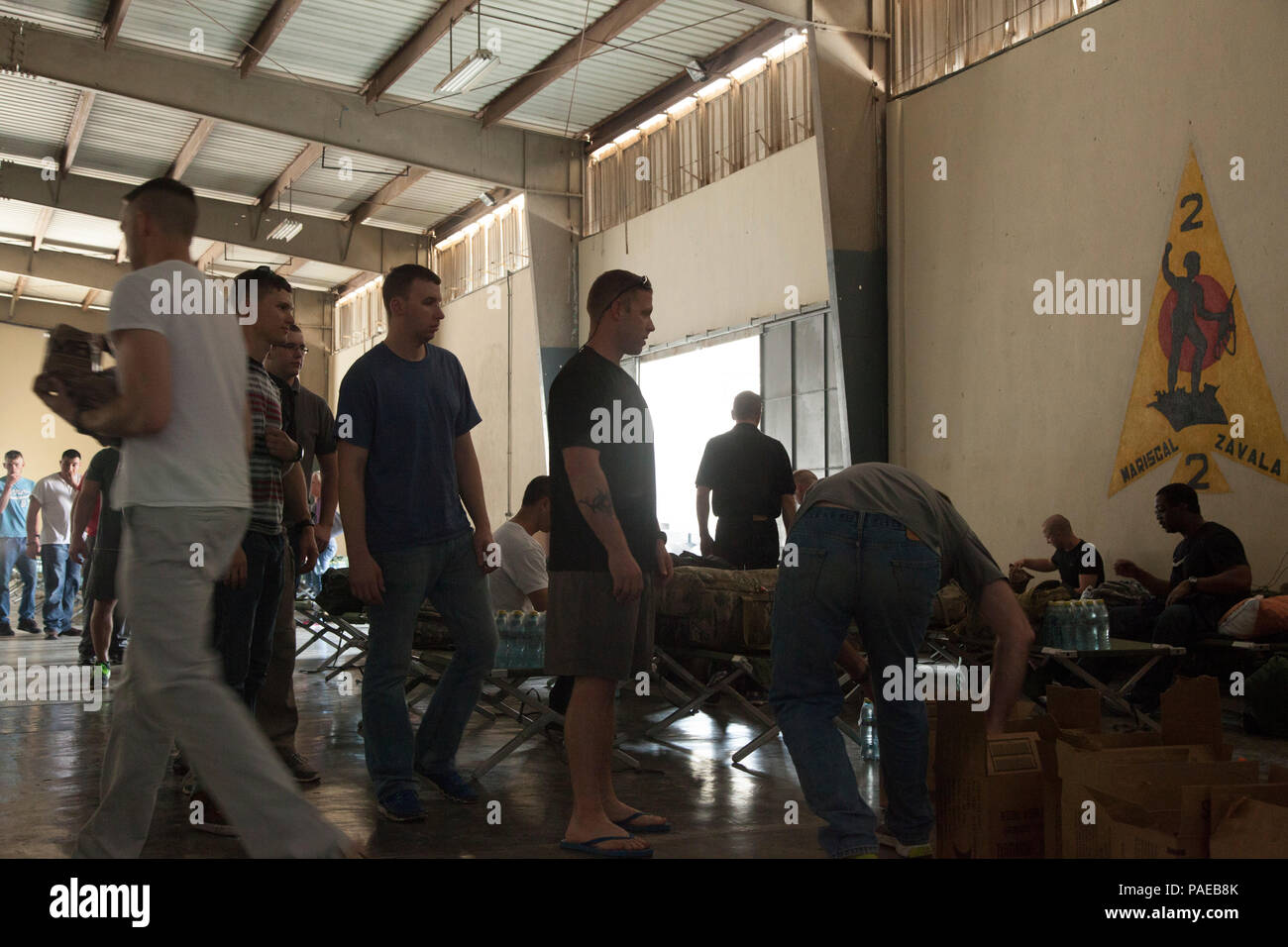 Tf redwolf hi-res stock photography and images - Alamy