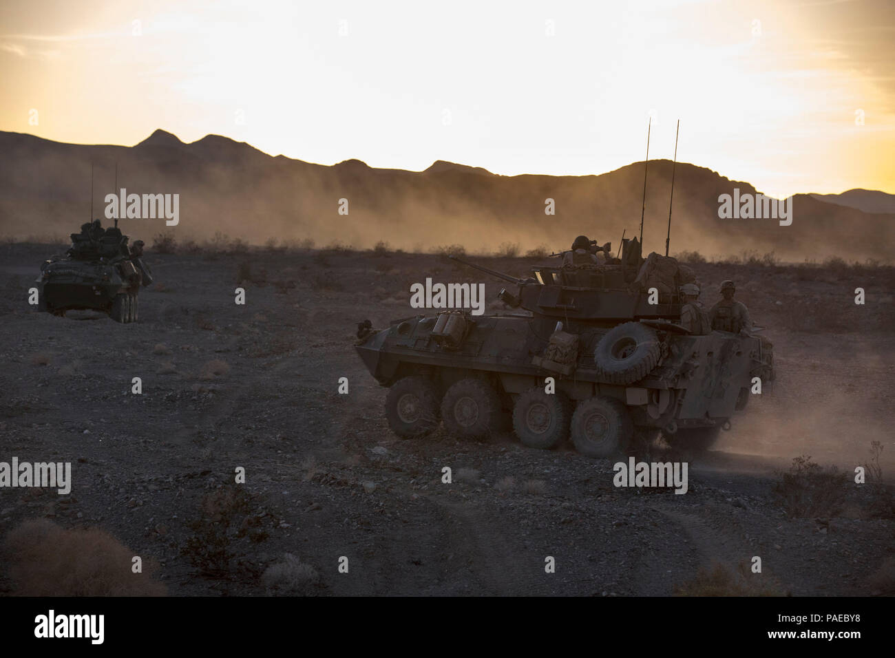 Light armored vehicles with Company B, 3rd Light Armored Reconnaissance ...