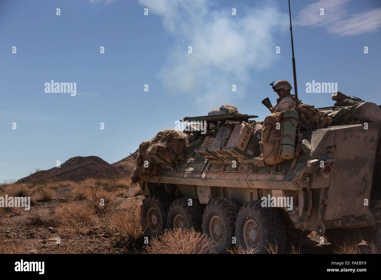 A Marine with Company B, 3rd Light Armored Reconnaissance Battalion ...