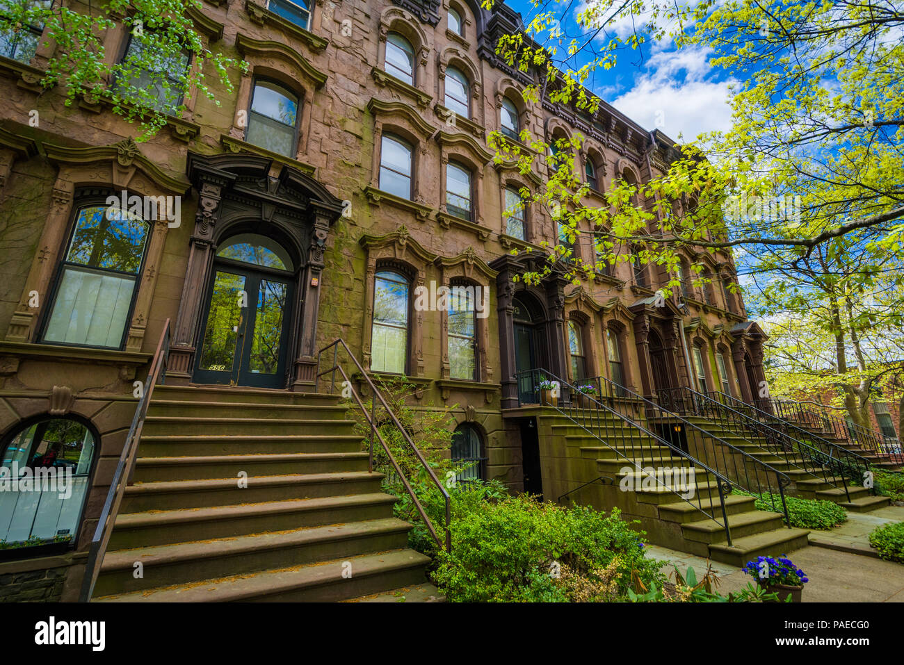Brownstones along Chapel Street at Wooster Square, in New Haven ...