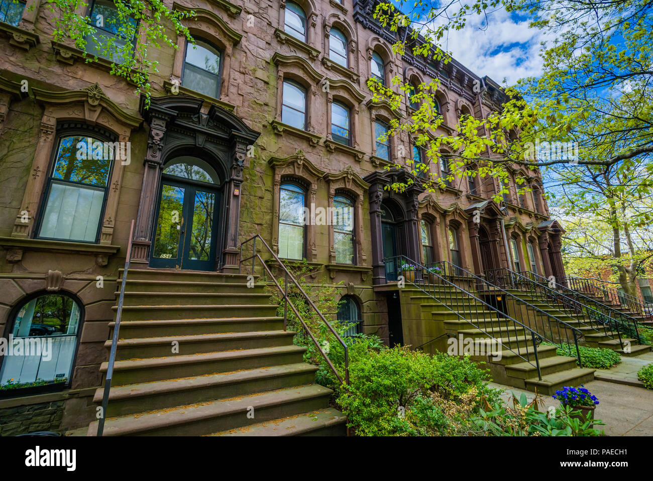Wooster street new haven hi-res stock photography and images - Alamy