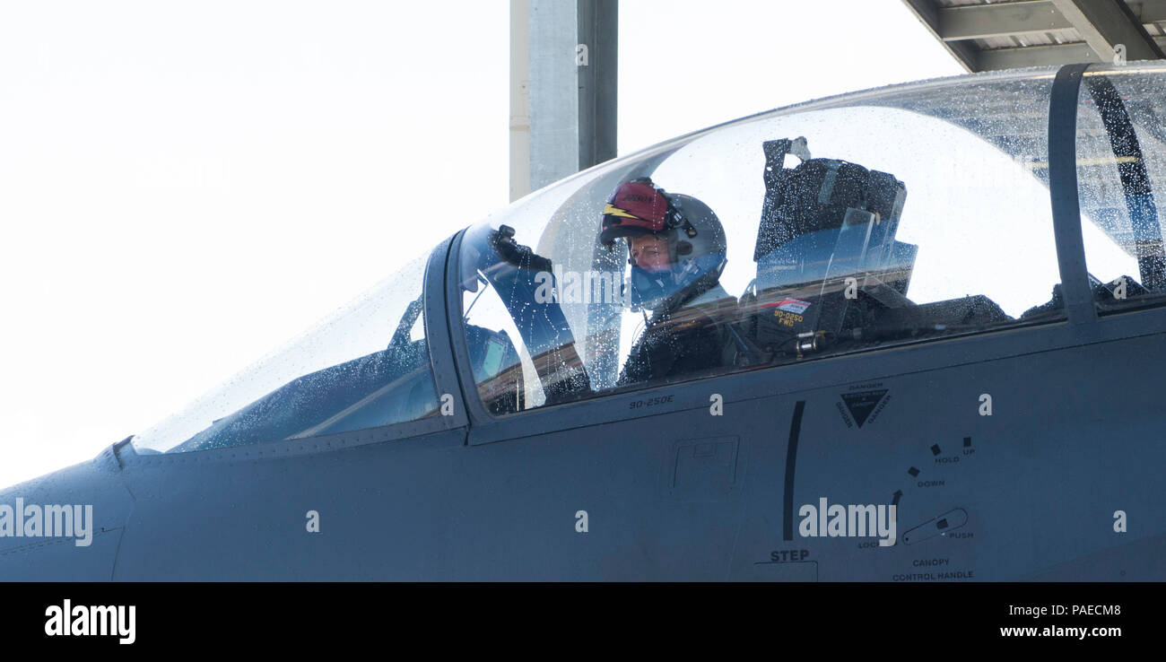 Col. David Iverson, 366th Fighter Wing commander, looks out at his ...