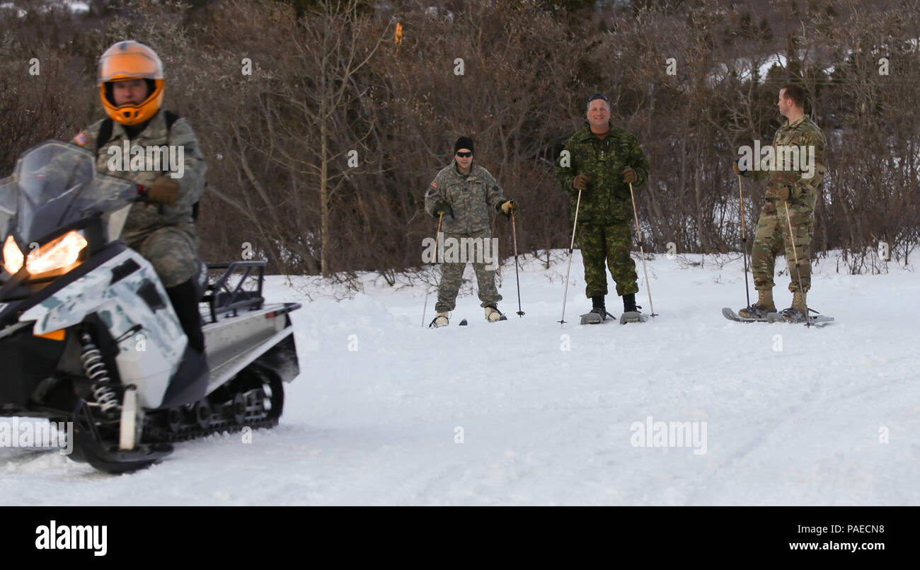 Canadian Army Col. Martin Frank, U.S. Army Alaska deputy commander ...