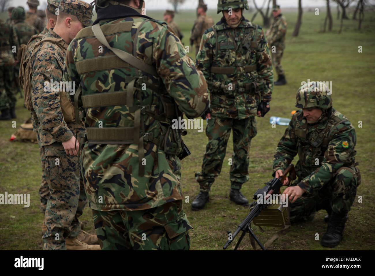 U.S. Marines with Black Sea Rotational Force observe as a Bulgarian ...