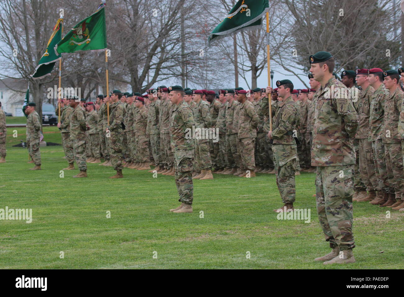 Members of the 5th Special Forces Group (Airborne) stand in formation ...