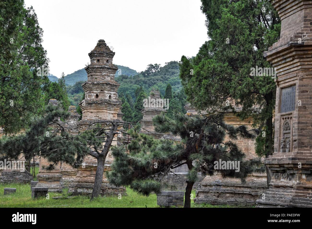 The Pagoda Forest at Shaolin monastery in Henan province in China Stock ...