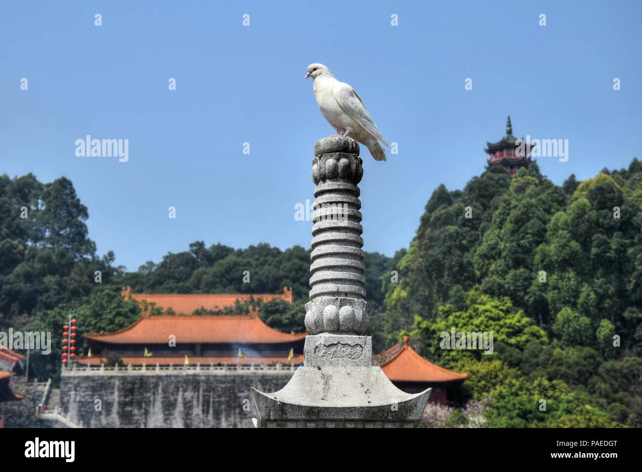 Nansha tienhou temple hi-res stock photography and images - Alamy