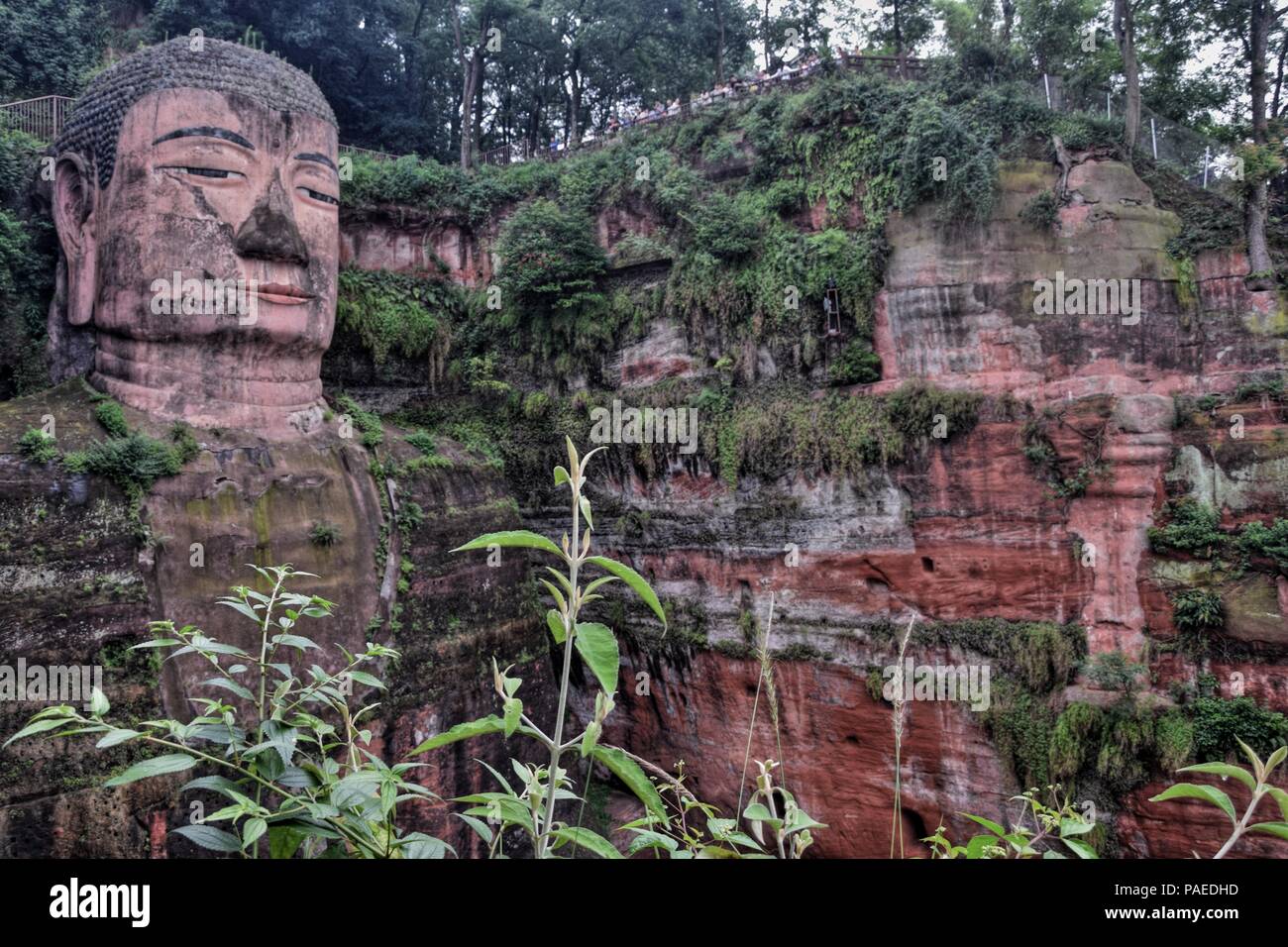 Leshan Giant Buddha 71 meters tall stone statue carved out of the cliff ...