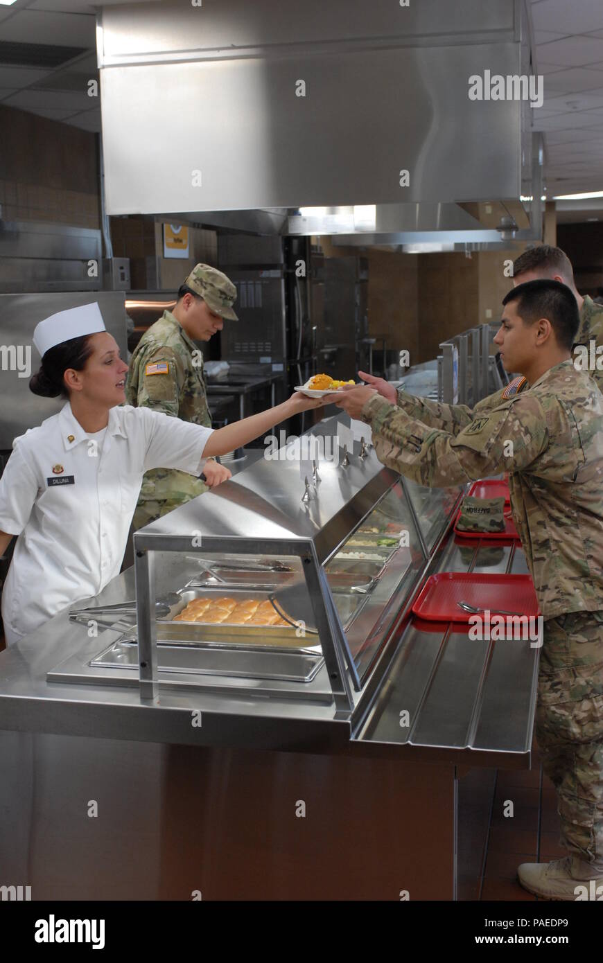 Spc. Lisa Diluna, a 108th Air Defense Artillery Brigade food service ...