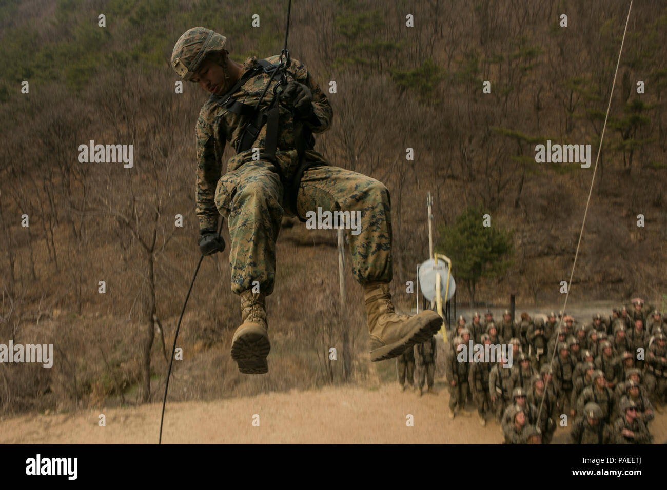 U.S. Marine Corps Lance Cpl. Yeilen Fernandez, a rifleman with Bravo ...