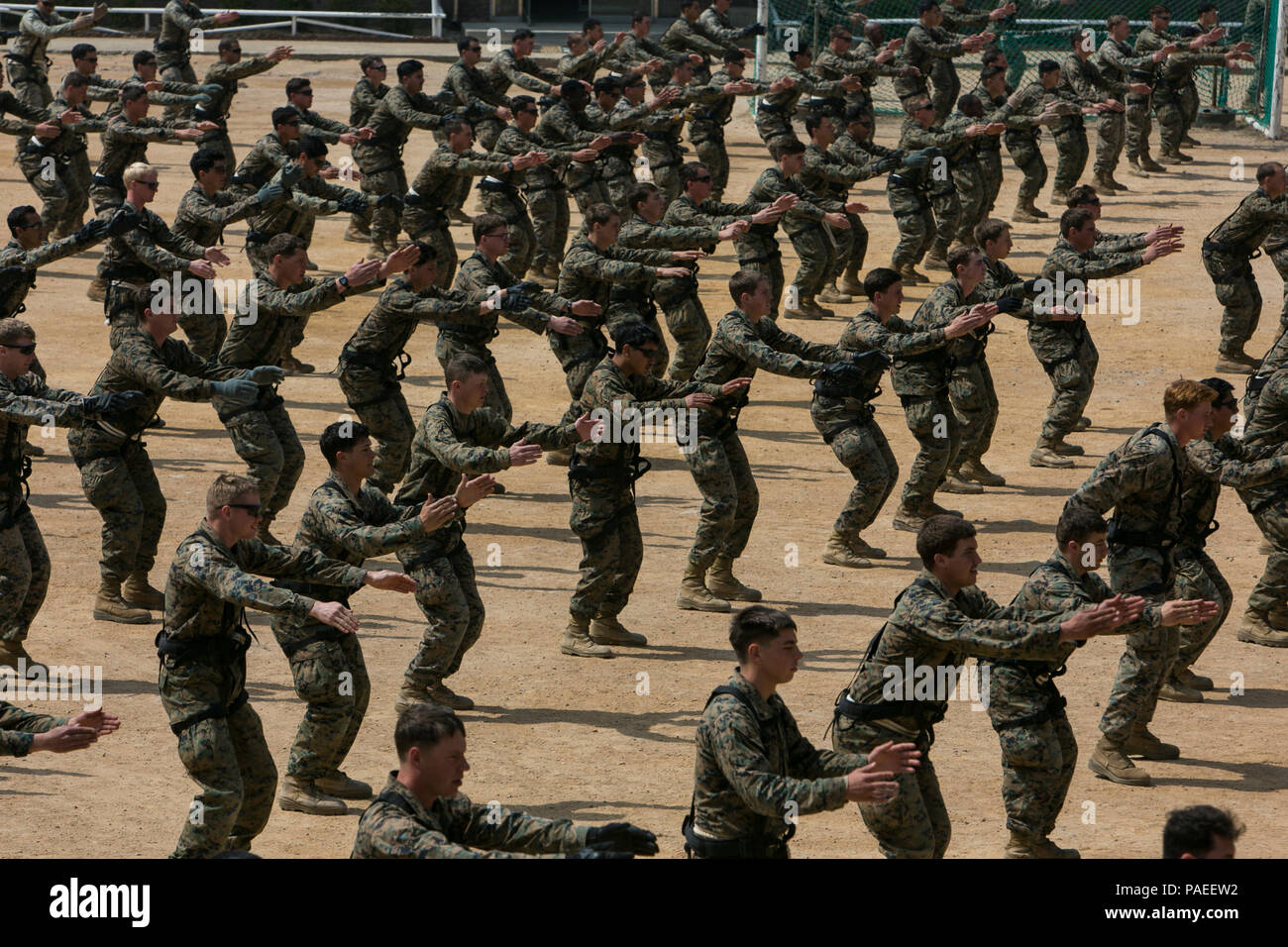 U.S. Marines with 1st Battalion, 3rd Marine Regiment, also known as ...