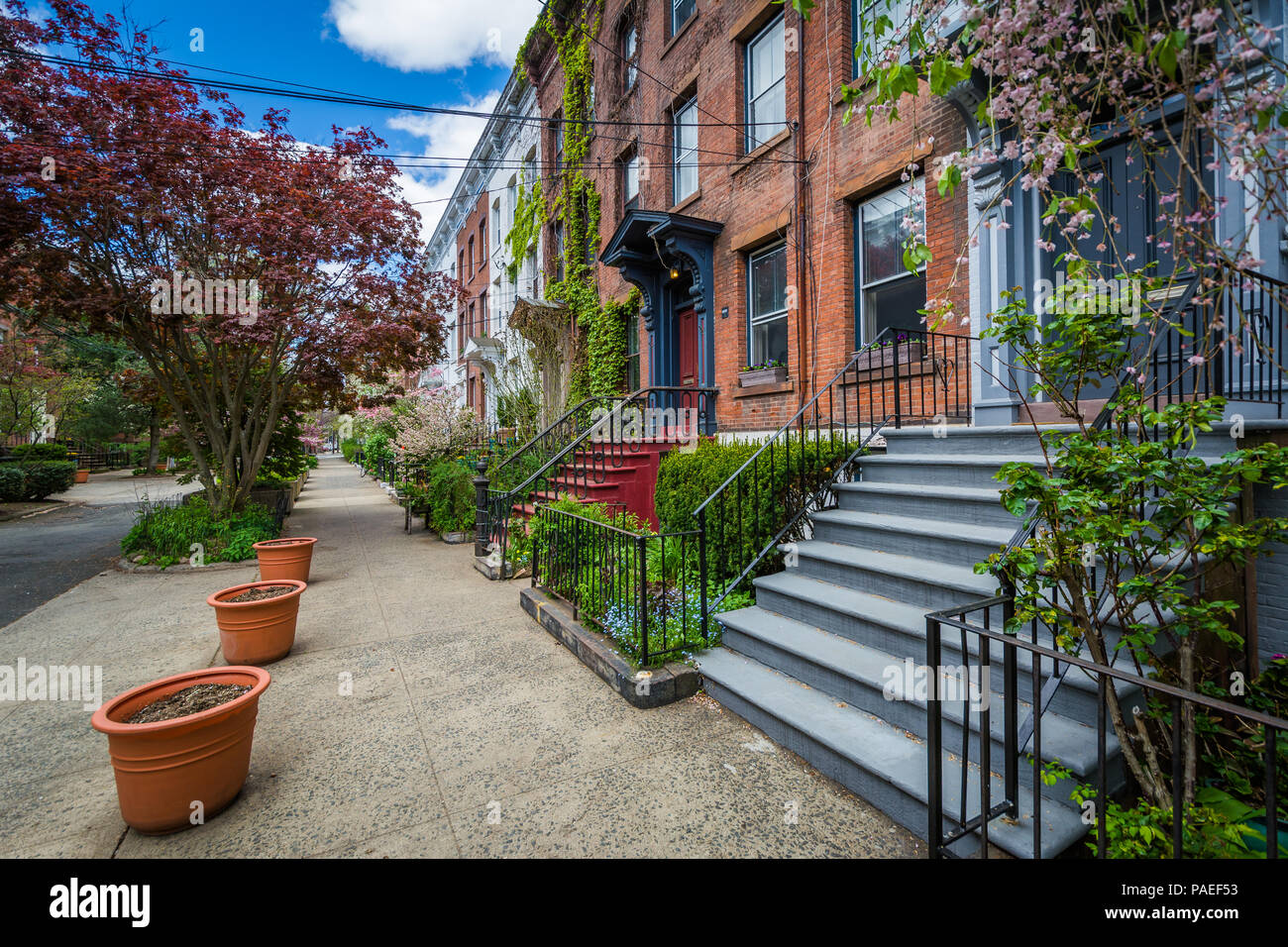 Houses along Court Street near Wooster Square, in New Haven ...
