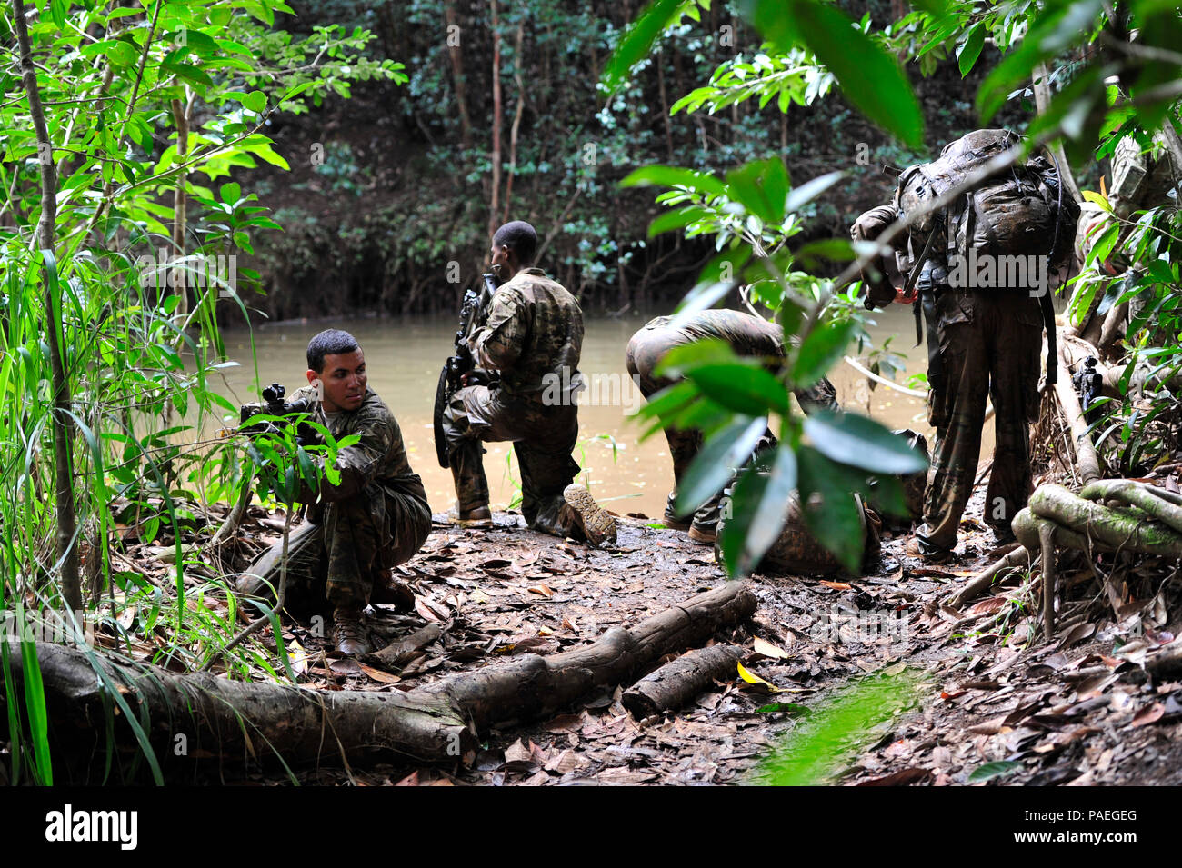 Jungle Operations Training Center Army High Resolution Stock ...