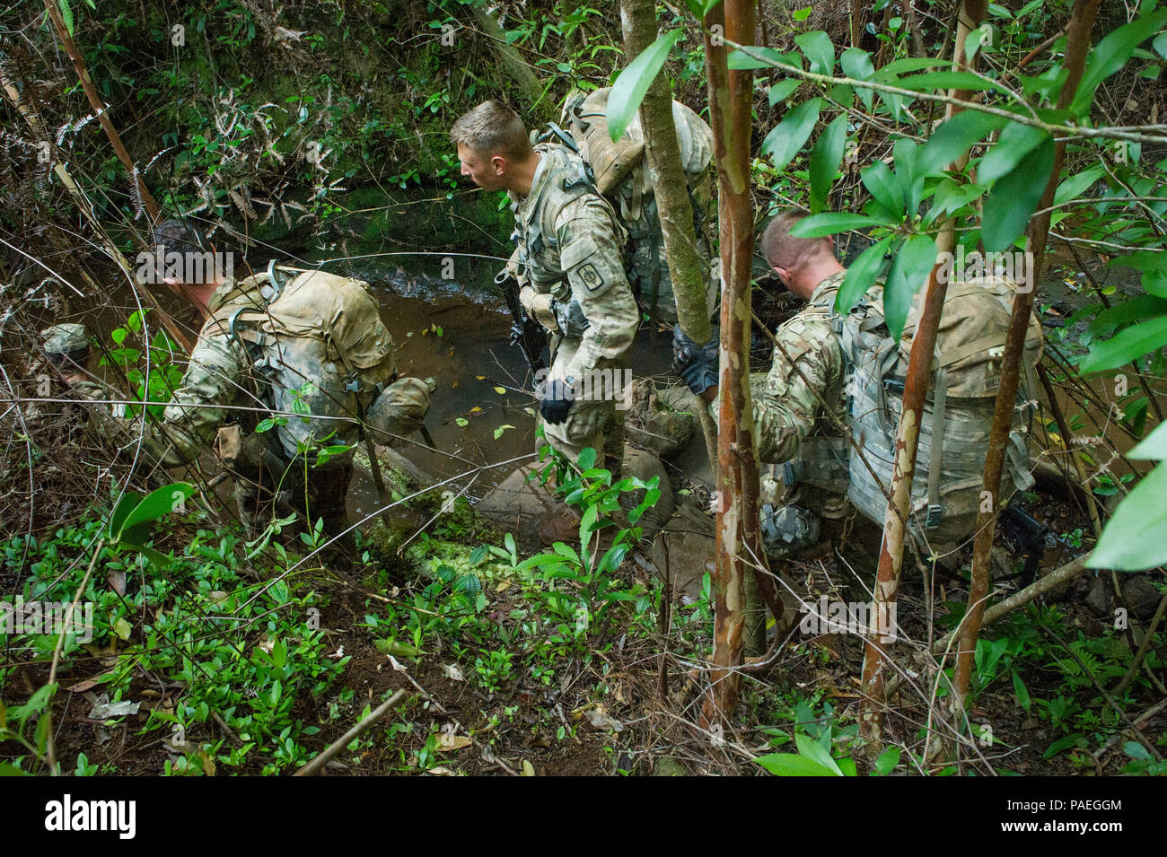 U.S. Army Soldiers, 25th Infantry Division, traverse jungle terrain ...