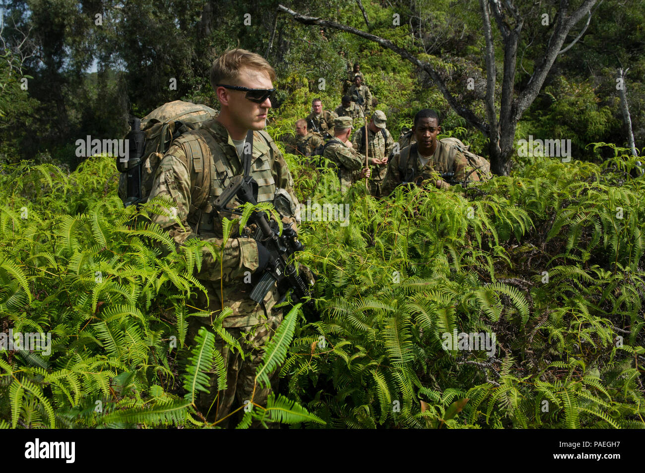 U.S. Army Soldiers, 25th Infantry Division, traverse jungle terrain ...