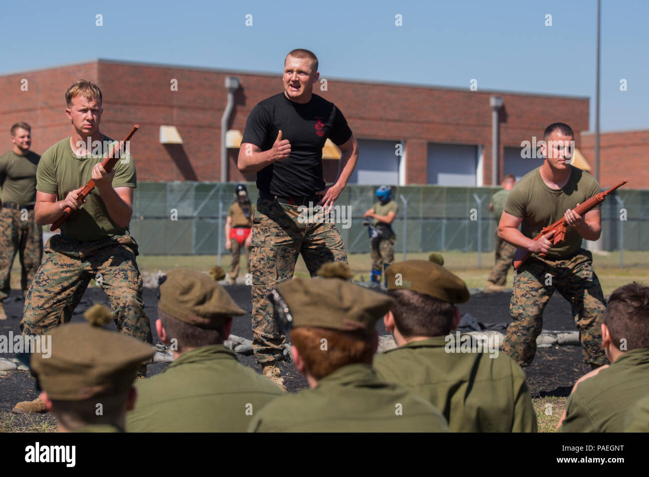 Cadet regimental staff hi-res stock photography and images - Alamy