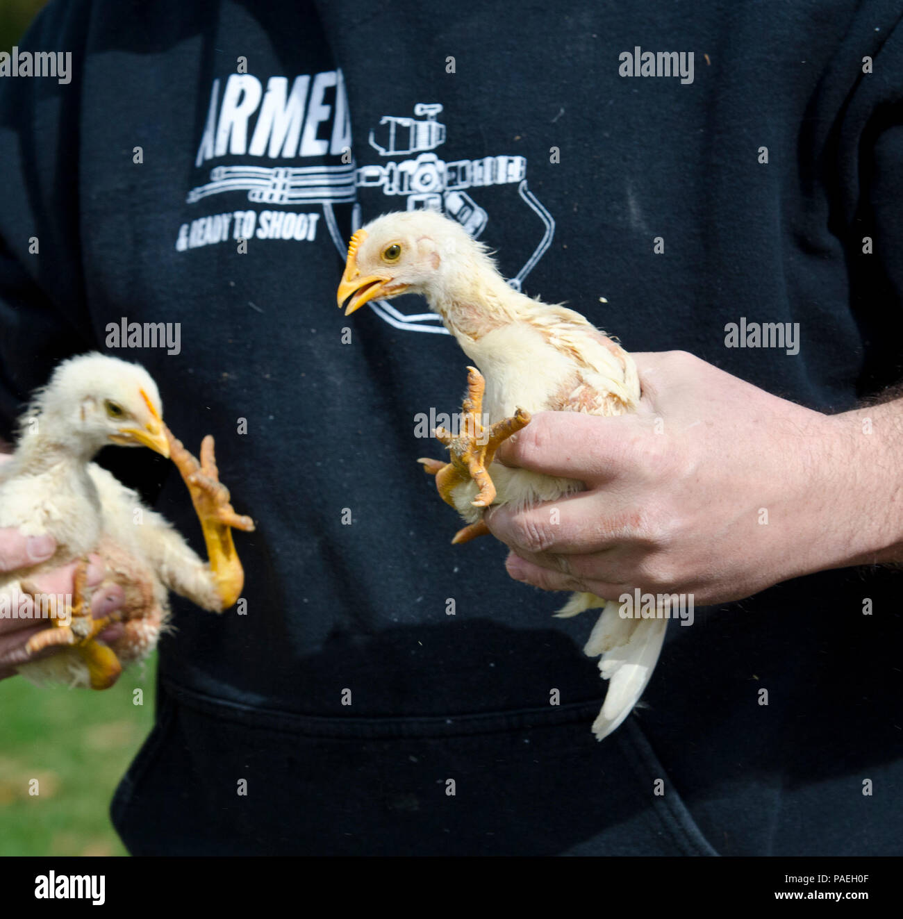 Usar community relations hi-res stock photography and images - Alamy