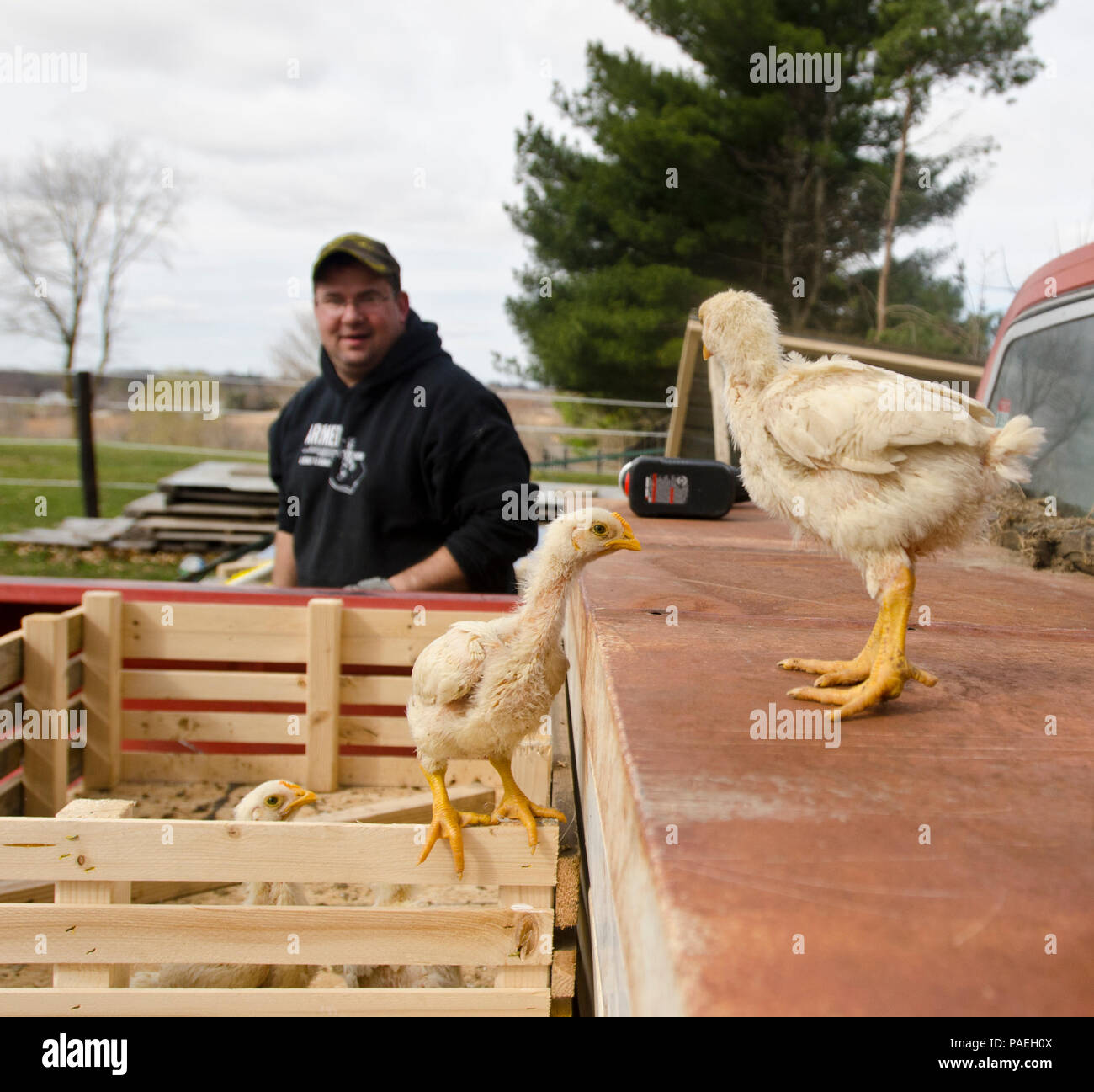 Halfacre Farm High Resolution Stock Photography and Images - Alamy