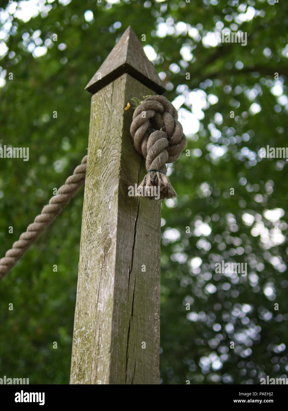 Tight rope garden hi-res stock photography and images - Alamy