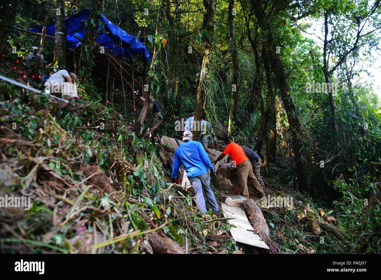 Members of the Defense POW/MIA Accounting Agency (DPAA), builds ...