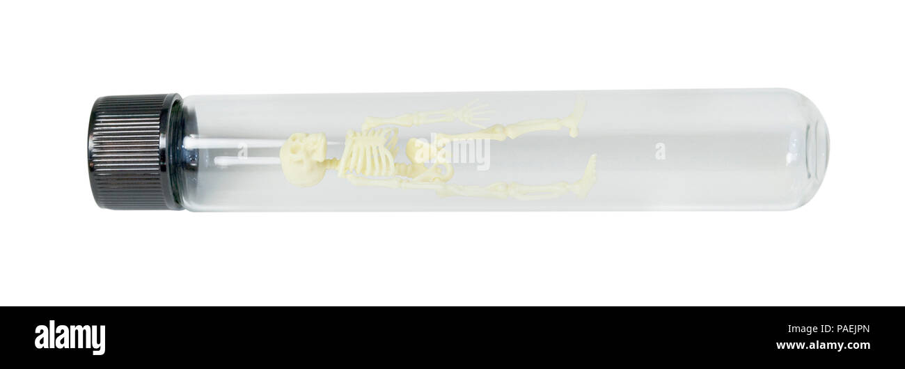 White Skeleton in a Glass Test Tube - path included Stock Photo - Alamy