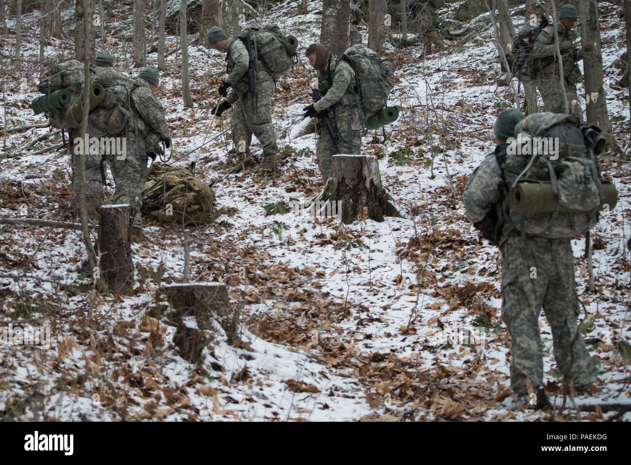 U.S. Army and Air Force service members of a squad team including ...