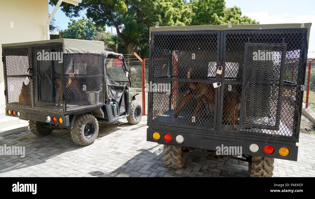 Vehicles provided through U.S. aid are used to transport working dogs ...