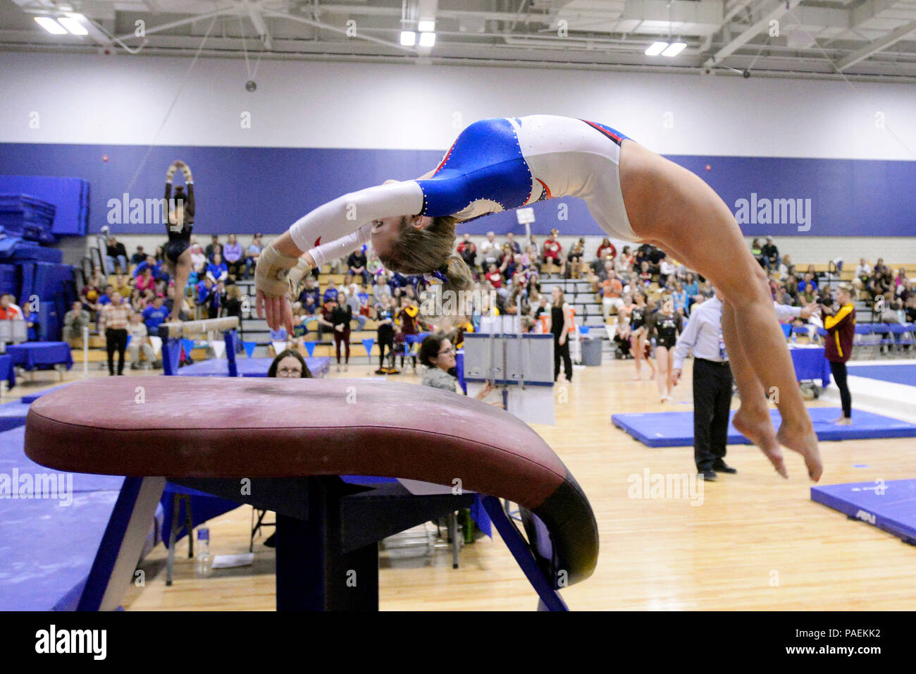 Chelsea Grimison, a sophomore, vaults the U.S. Air Force Academy women ...