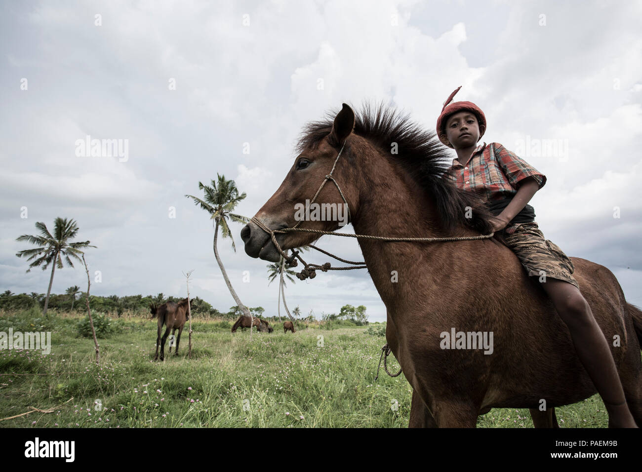 Savu island culture hi-res stock photography and images - Alamy