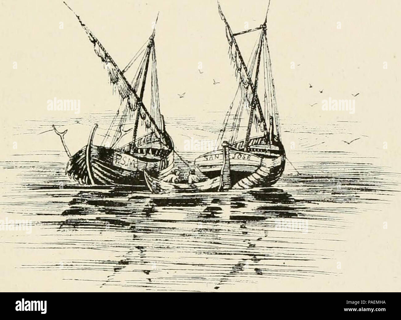 "Wild Spain ... records of sport with rifle, rod, and gun, natural ...